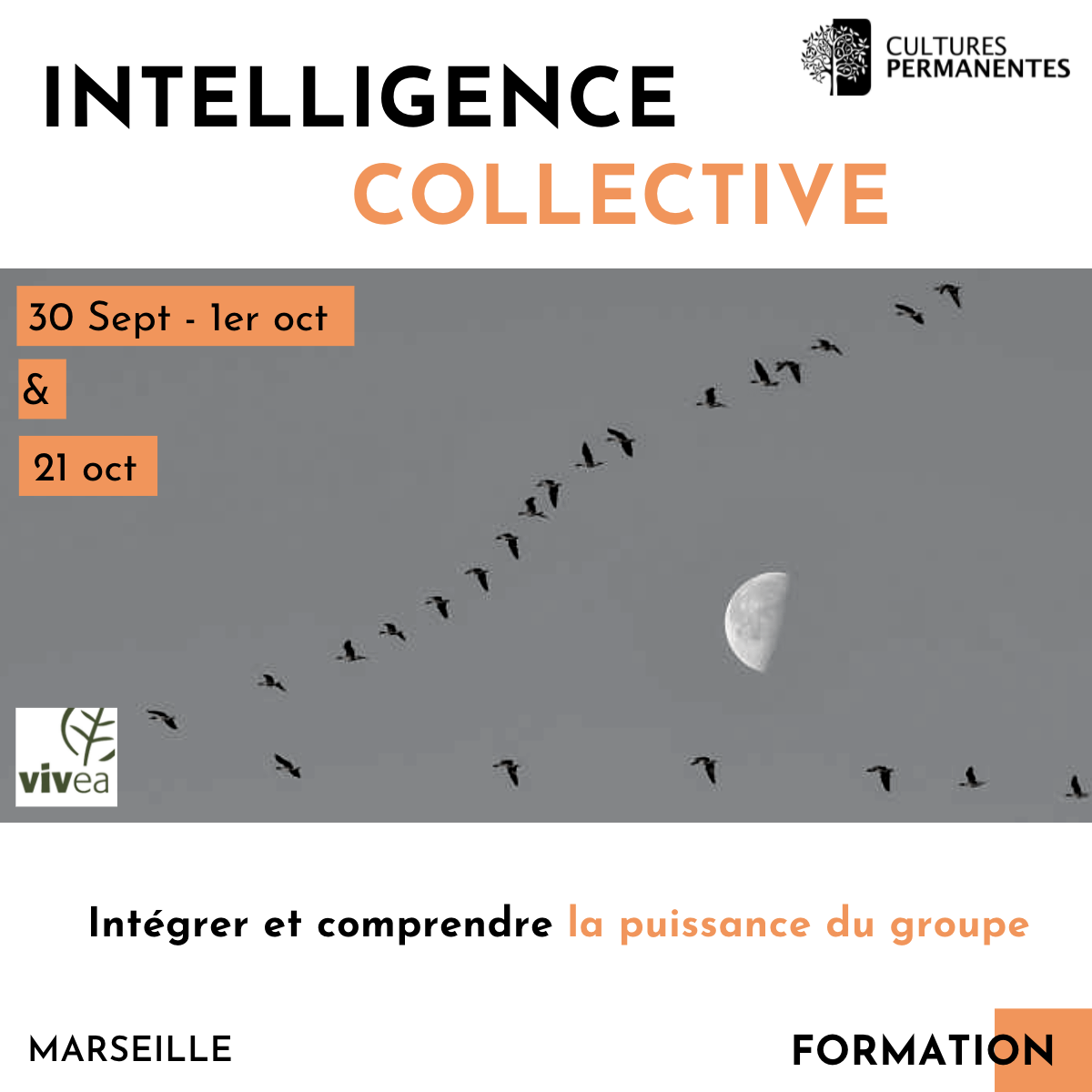 Formation aux pratiques d’intelligence collective - Cultures Permanentes